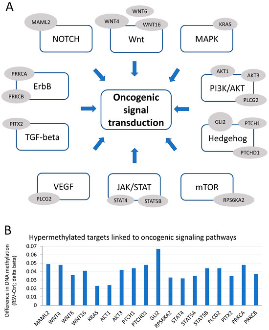 Epigenetic Effects of Resveratrol on Oncogenic Signaling in Breast Cancer