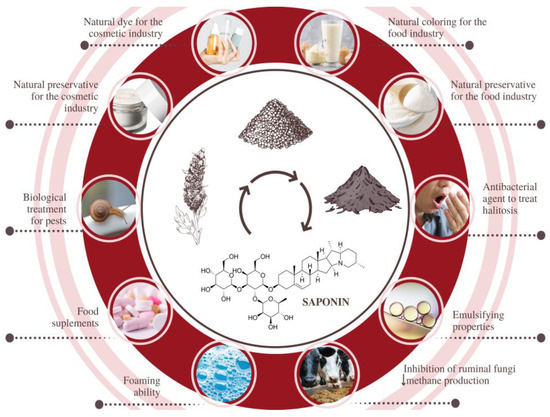 Biotechnological, Nutritional, and Therapeutic Applications of Quinoa ...
