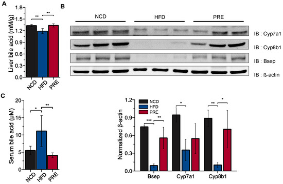 Platycodi Radix Extract Prevents Hepatic Steatosis by Enhancing Bile ...