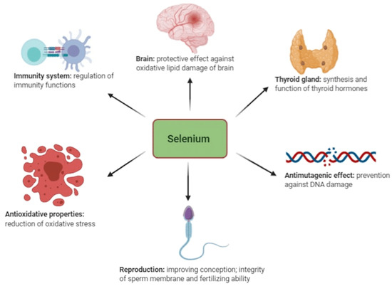 Selenium Status of Southern Africa