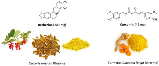The Possible Synergistic Pharmacological Effect of an Oral Berberine ...