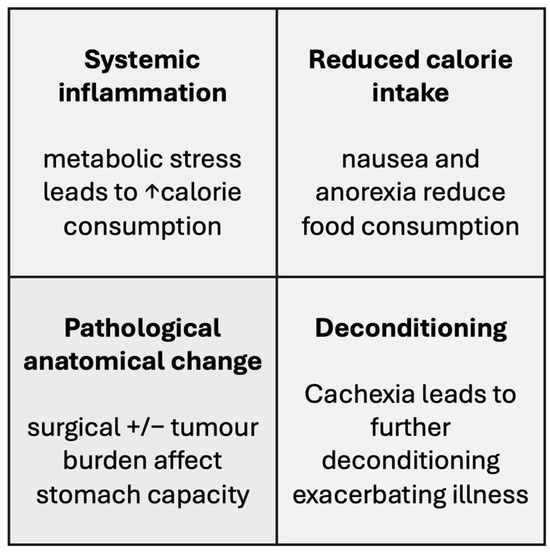 Treatment of Cachexia in Gastric Cancer: Exploring the Use of Anti ...