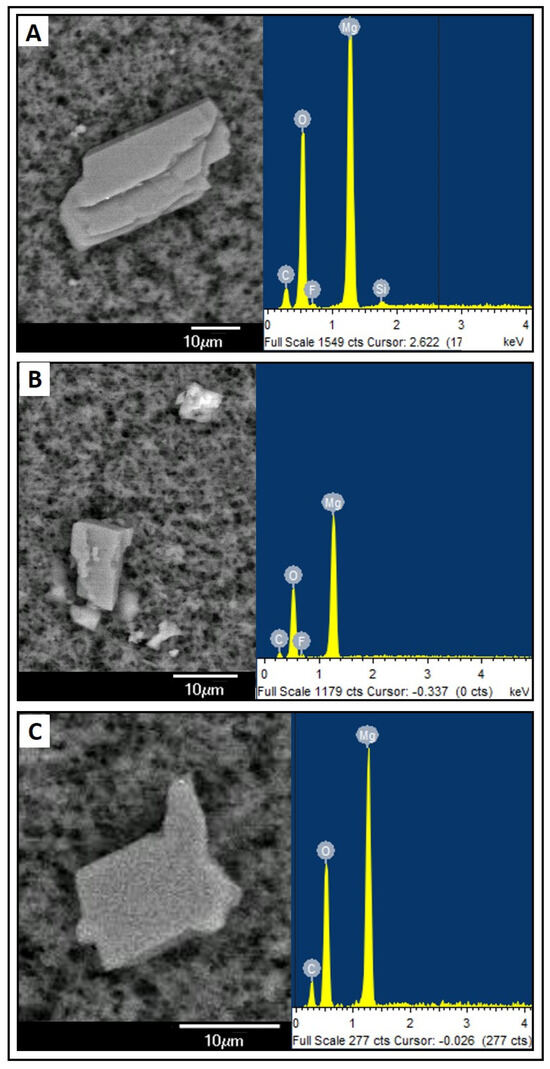 Nutrients | Free Full-Text | Electron Microscopy for the Stability ...