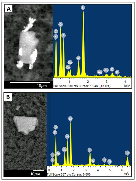 Nutrients | Free Full-Text | Electron Microscopy for the Stability ...