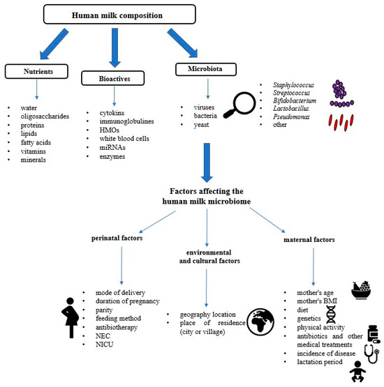 Nutrients | Free Full-Text | Human Milk Microbiome—A Review of Scientific Reports