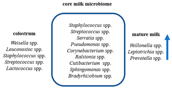 Nutrients | Free Full-Text | Human Milk Microbiome—A Review of Scientific Reports
