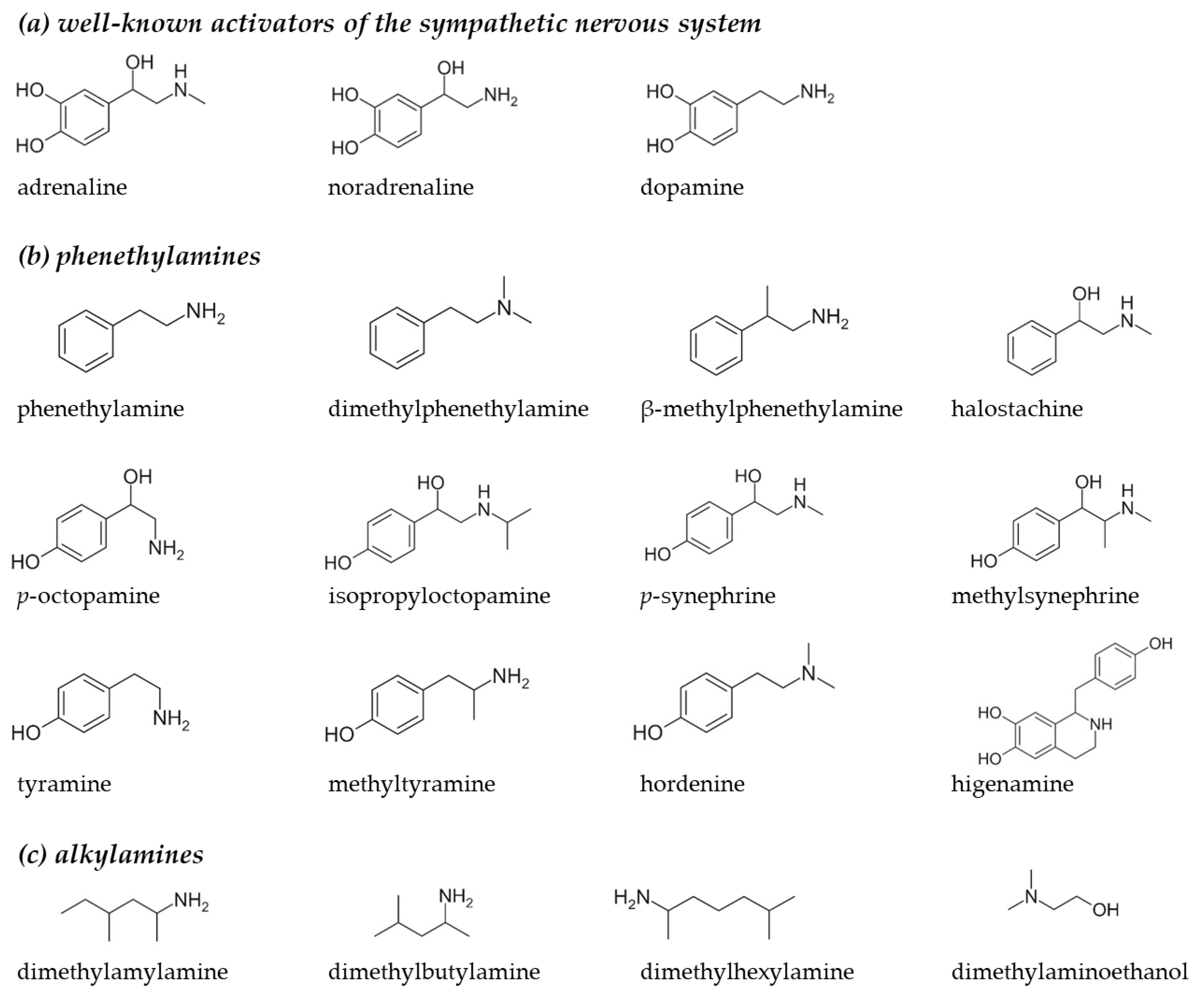 Nutrients | Free Full-Text | In Vitro Activation of Human Adrenergic Receptors and Trace Amine ...