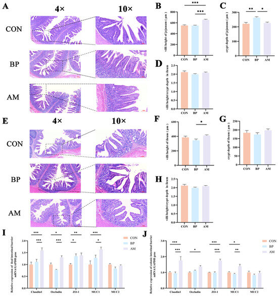 Dietary Fiber-Derived Butyrate Alleviates Piglet Weaning Stress by ...