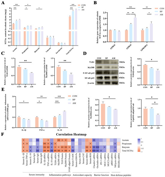 Dietary Fiber-Derived Butyrate Alleviates Piglet Weaning Stress by ...
