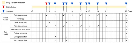 Nutrients | Free Full-Text | Time-Dependent Effect of Eggshell Membrane ...