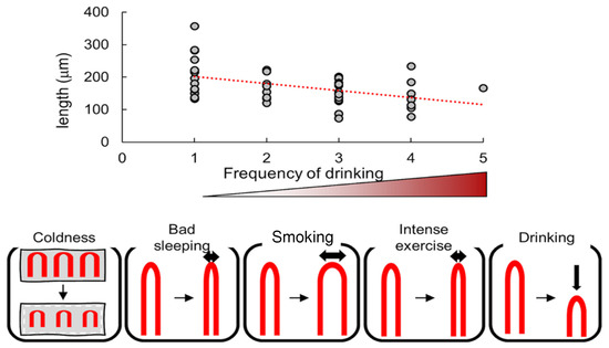 Nailfold Capillaroscopy: A Comprehensive Review on Its Usefulness in ...