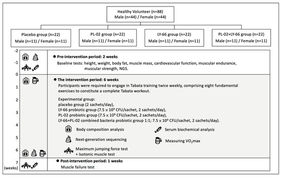 Efficacy of Lactococcus lactis subsp. lactis LY-66 and Lactobacillus ...