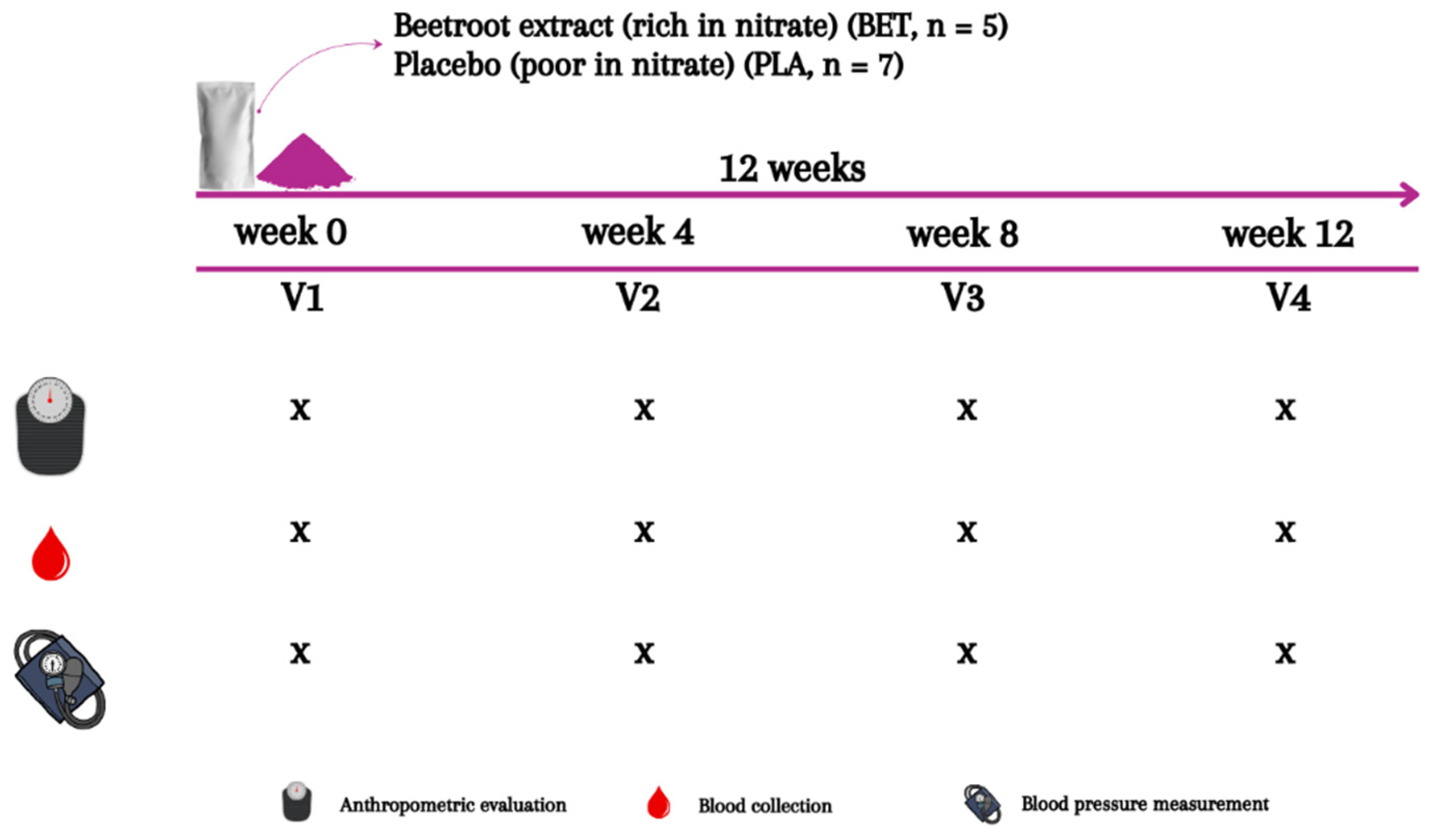 Evaluation of 12-Week Standardized Beetroot Extract Supplementation in ...