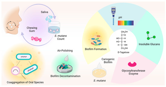 D-Tagatose: A Rare Sugar with Functional Properties and Antimicrobial ...