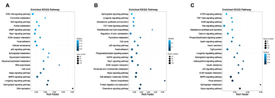 The Combination of Lactoferrin and Creatine Ameliorates Muscle Decay in ...