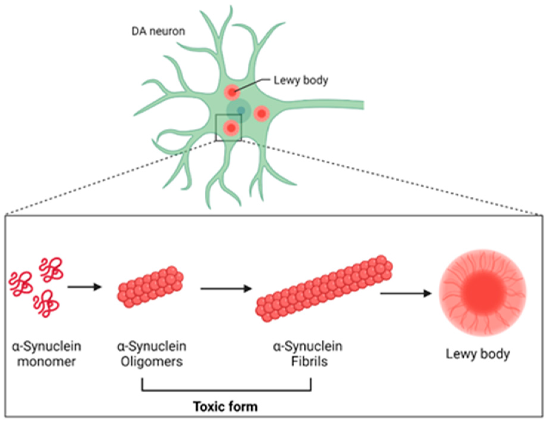 Nutrients | Free Full-Text | Gut–Brain Axis in Focus: Polyphenols ...