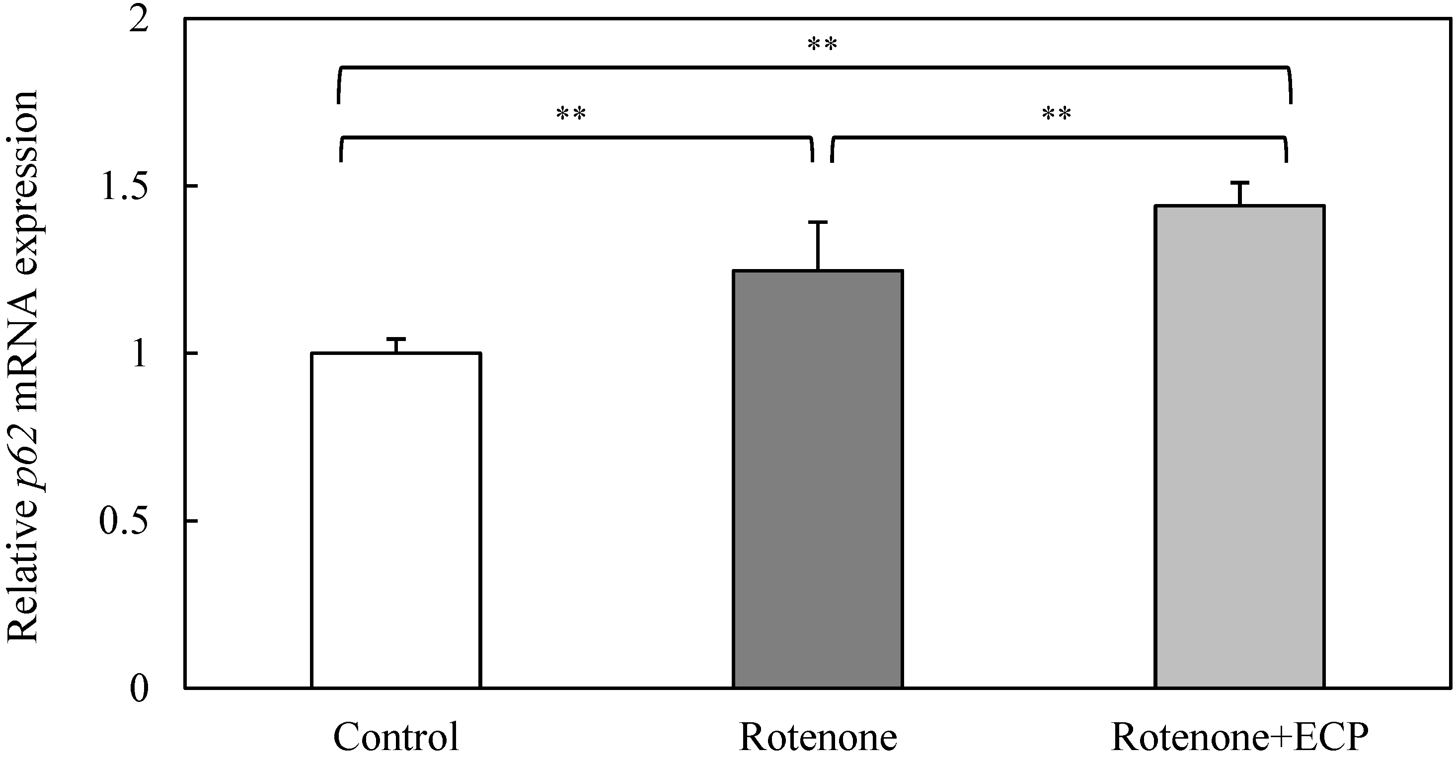 Ecklonia cava Polyphenols Have a Preventive Effect on Parkinson’s ...
