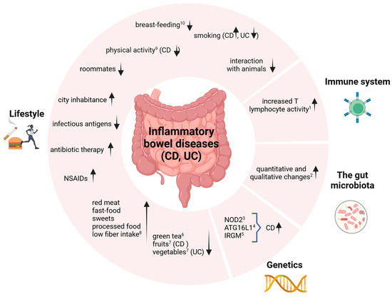 Importance of Gut Microbiota in Patients with Inflammatory Bowel Disease