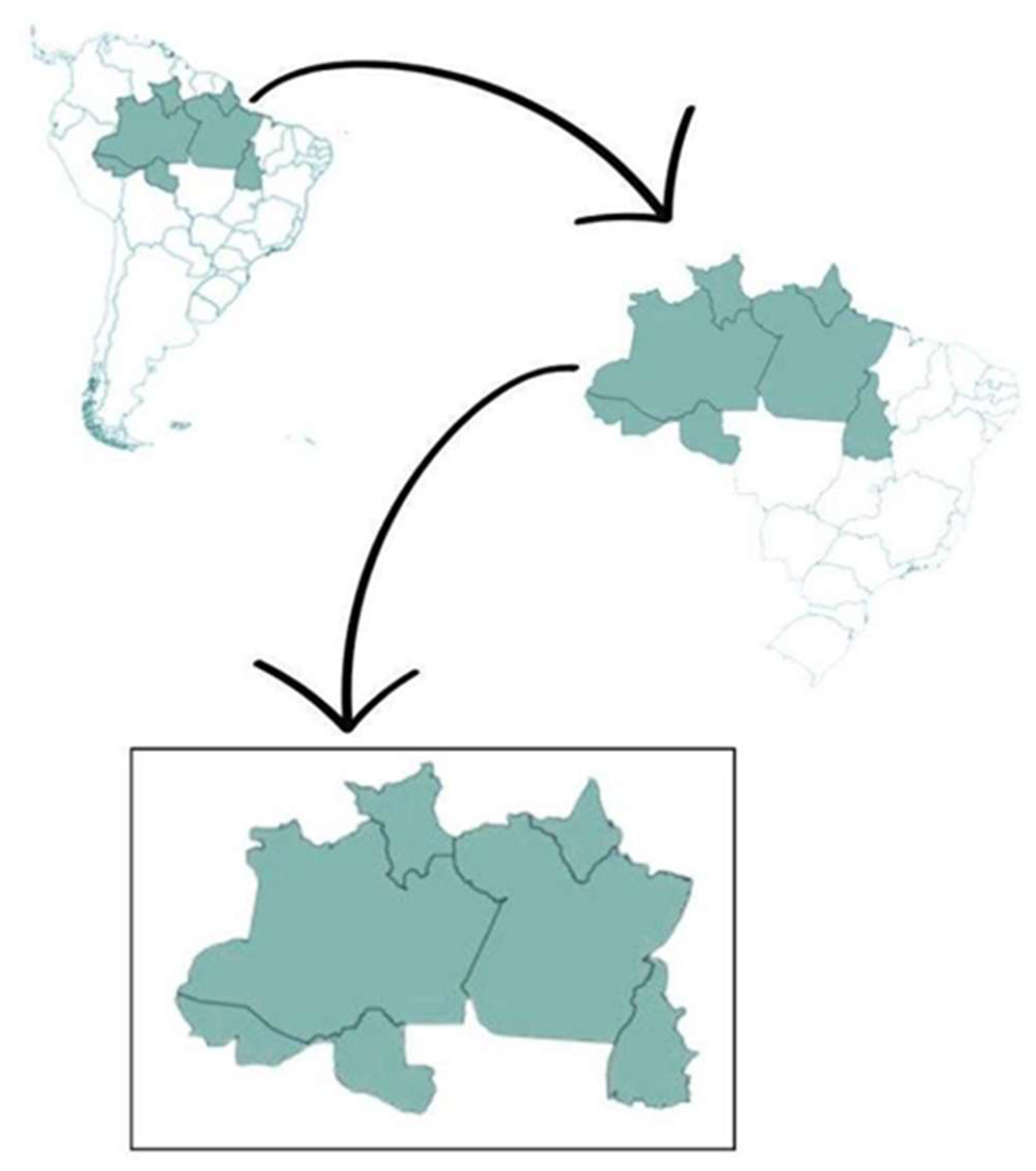 Consumption of Ultra-Processed Foods in the Brazilian Amazon during ...