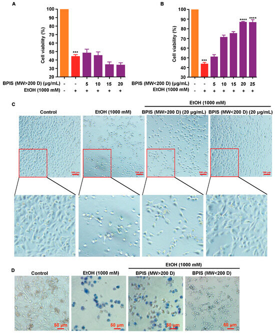 Gastroprotective Effect of Isoferulic Acid Derived from Foxtail Millet ...