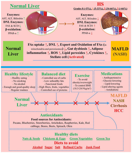 Management of Metabolic-Associated Fatty Liver Disease/Metabolic ...