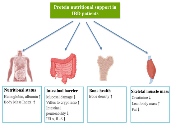 The Effect of Protein Nutritional Support on Inflammatory Bowel Disease ...