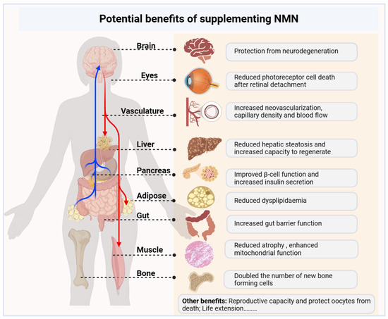 Advances in the Synthesis and Physiological Metabolic Regulation of ...