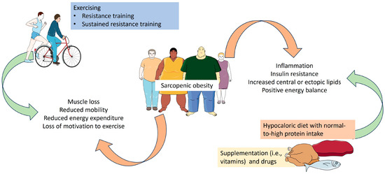 Nutritional Management and Physical Activity in the Treatment of ...