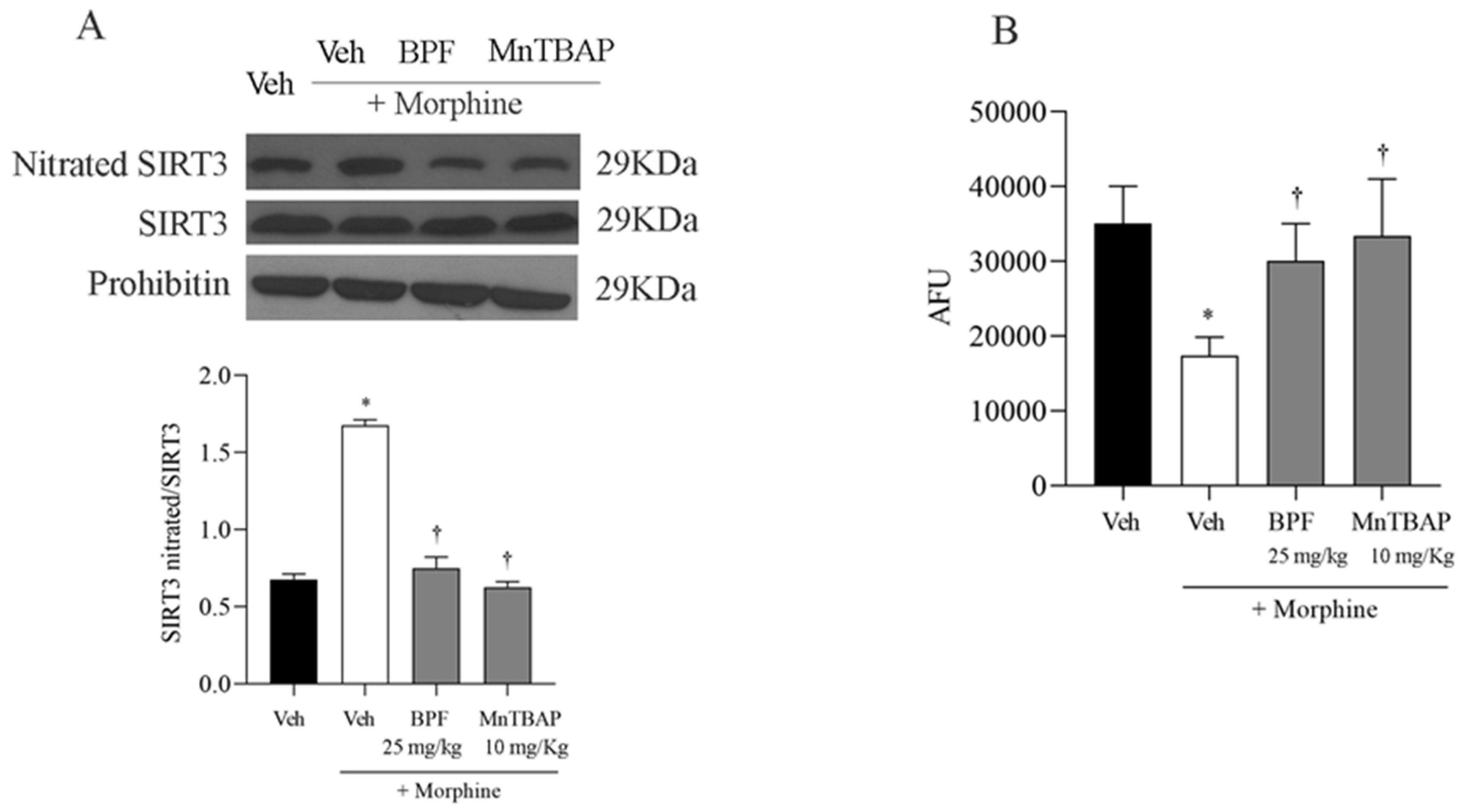 Exploring the Role of Bergamot Polyphenols in Alleviating Morphine ...