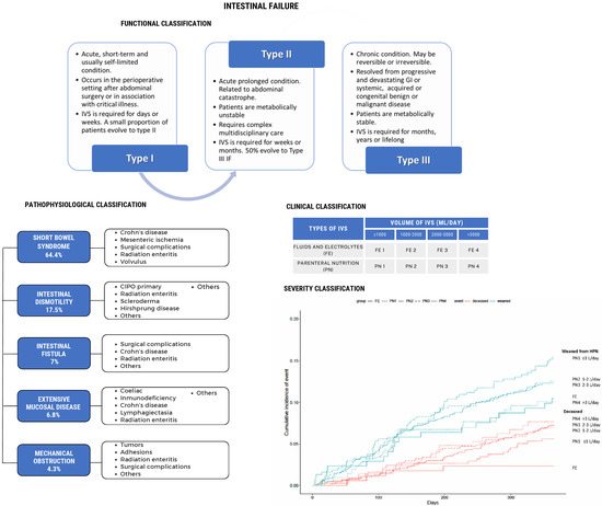 Current Status of Chronic Intestinal Failure Management in Adults