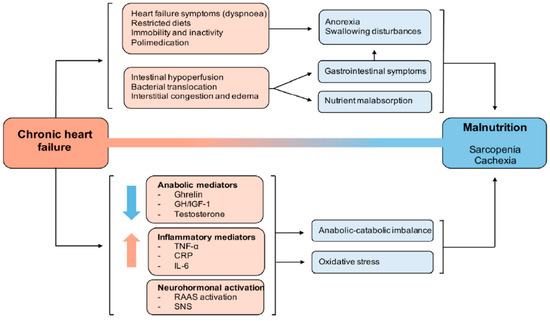 Nutrients | Free Full-Text | A Narrative Review of the Diagnosis and ...