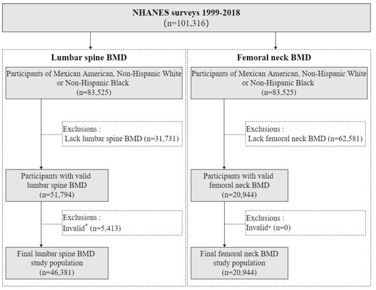 A Comprehensive Analysis of Bone Mineral Density Changes across the ...