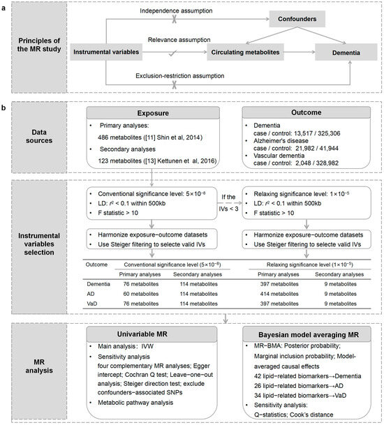 Causal Association between Circulating Metabolites and Dementia: A ...