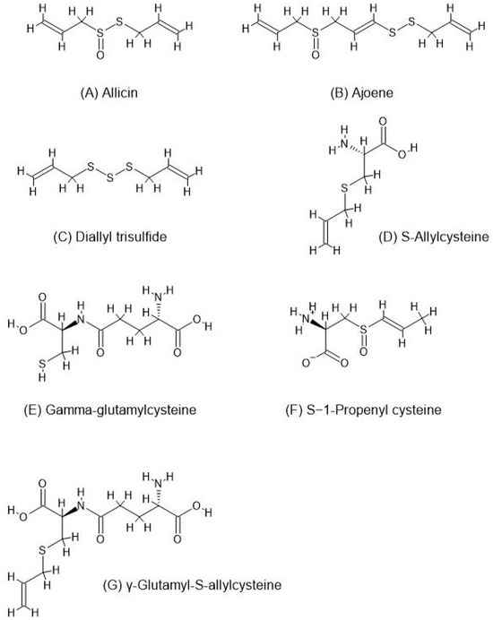 Garlic and Hypertension: Efficacy, Mechanism of Action, and Clinical ...