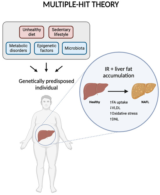 Dietary Pattern’s Role in Hepatic Epigenetic and Dietary ...