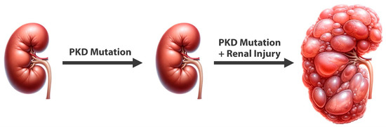 Trigger Warning: How Modern Diet, Lifestyle, and Environment Pull the ...