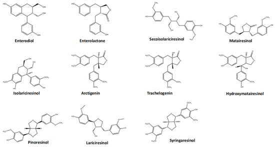 Unveiling the Power of Flax Lignans: From Plant Biosynthesis to Human ...