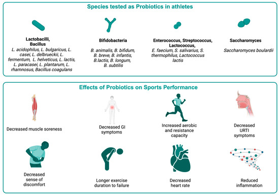 Physical Exercise and the Gut Microbiome: A Bidirectional Relationship ...