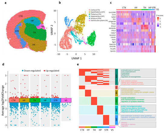 Spatial Transcriptomics and Single-Nucleus Multi-Omics Analysis ...