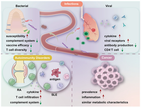 Immune Alterations with Aging: Mechanisms and Intervention Strategies