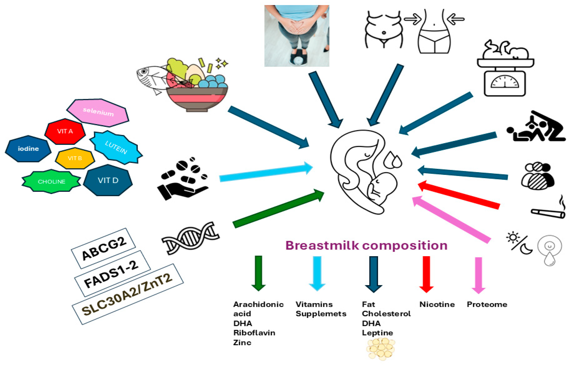 “OMICS” in Human Milk: Focus on Biological Effects on Bone Homeostasis