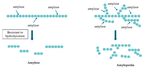 The Consumption of High-Amylose Rice and its Effect on Postprandial ...