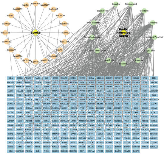 Investigation into the Potential Mechanism of Radix Paeoniae Rubra ...