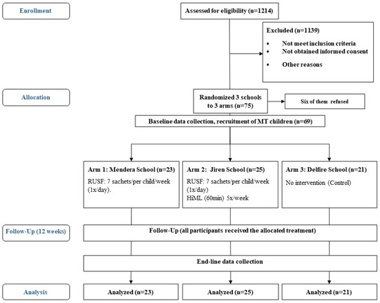 Effects of High-Intensity Motor Learning and Dietary Supplementation on ...