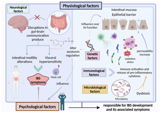 Exploring Gut Microbiota Imbalance in Irritable Bowel Syndrome ...