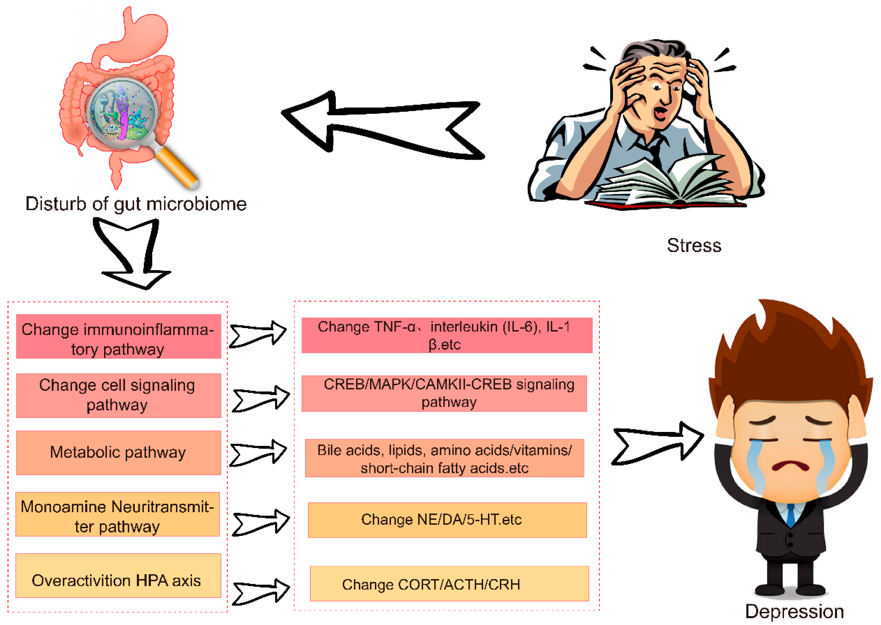 Relationship Between Depression and Epigallocatechin Gallate from the ...