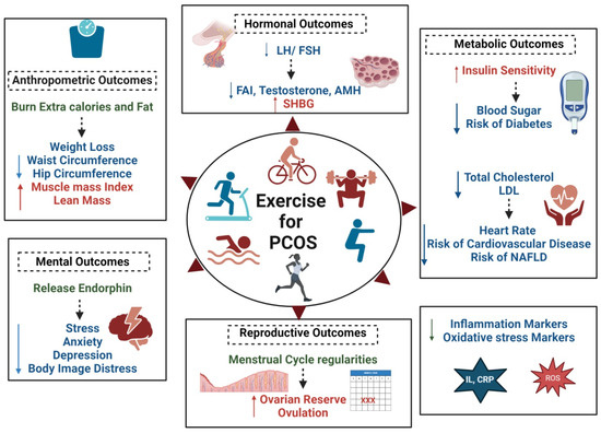 The Role of Lifestyle Interventions in PCOS Management: A Systematic Review
