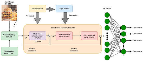 An Explainable CNN and Vision Transformer-Based Approach for Real-Time ...