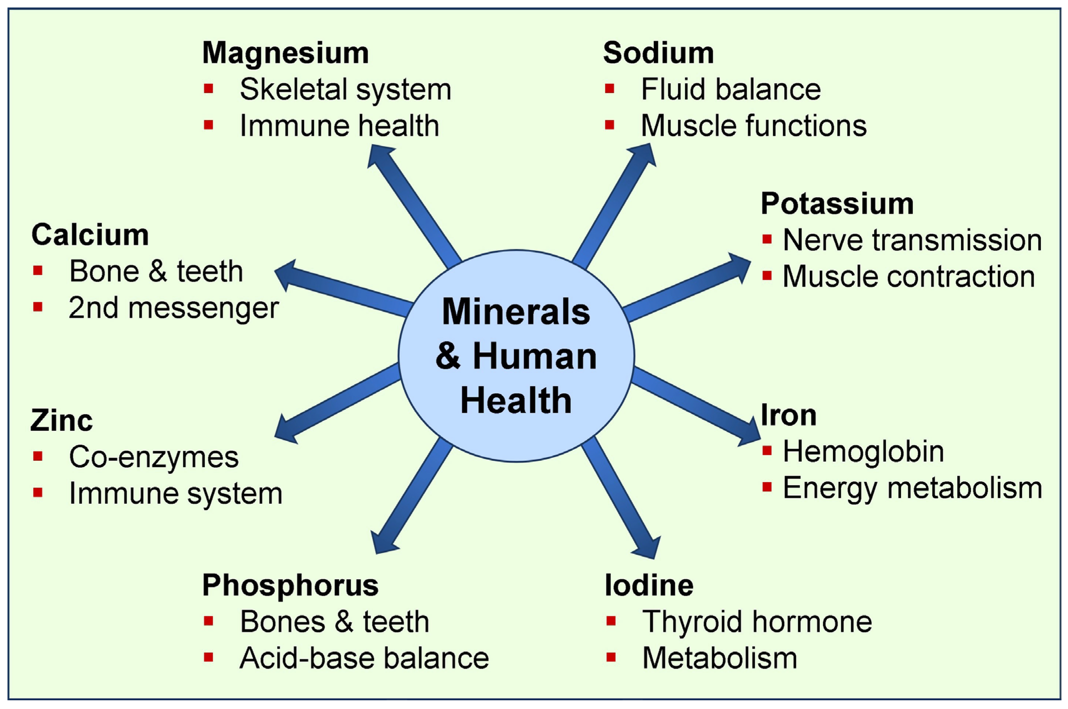 Minerals and Human Health: From Deficiency to Toxicity