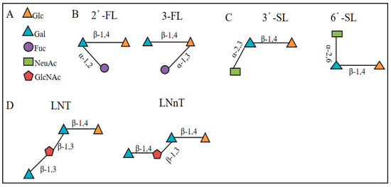 Research Progress on the Degradation of Human Milk Oligosaccharides ...